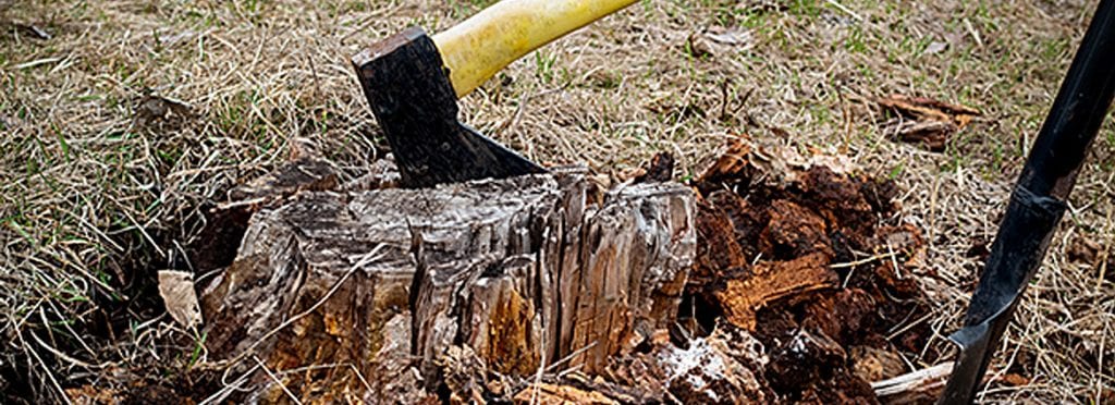 What are the Different Methods of Stump Removal?