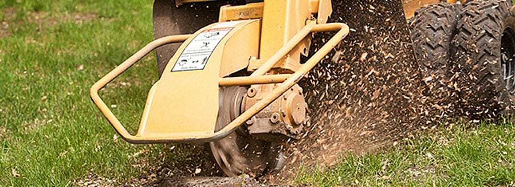 5 Easy Ways to Use a Stump Grinder Safely & Efficiently